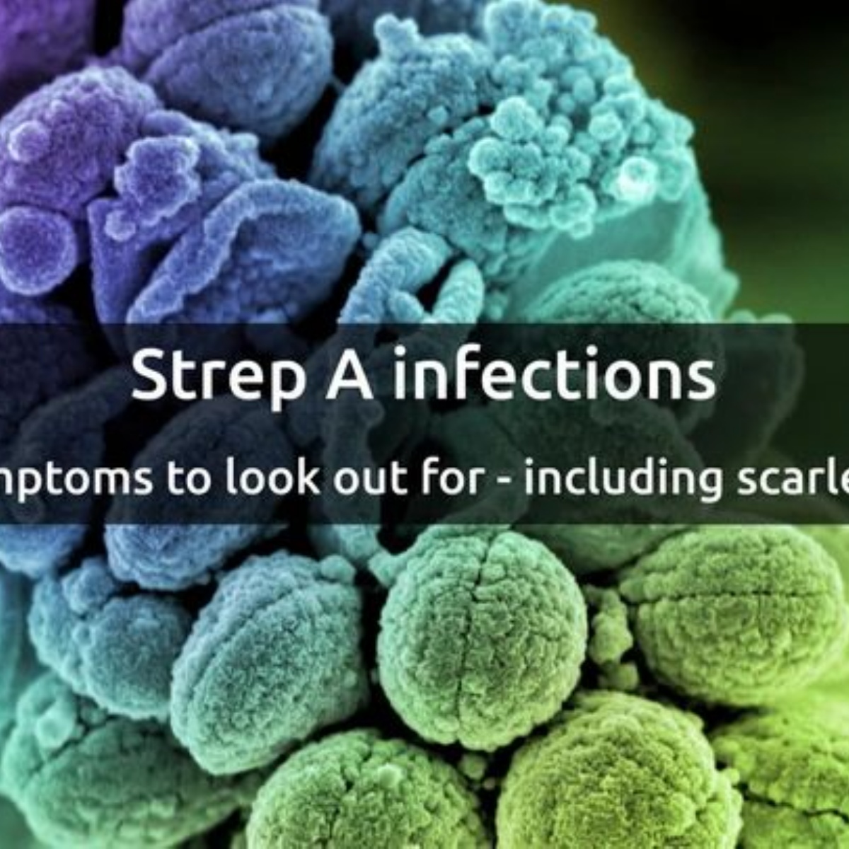 St Richard Gwyn Catholic High School - Be vigilant - Strep A and ...